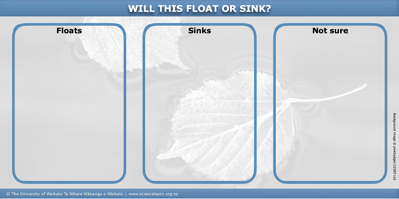 Will this float or sink? – graphic organiser — Science Learning Hub