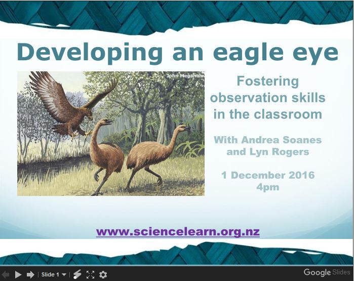 Developing an eagle eye – slideshow — Science Learning Hub