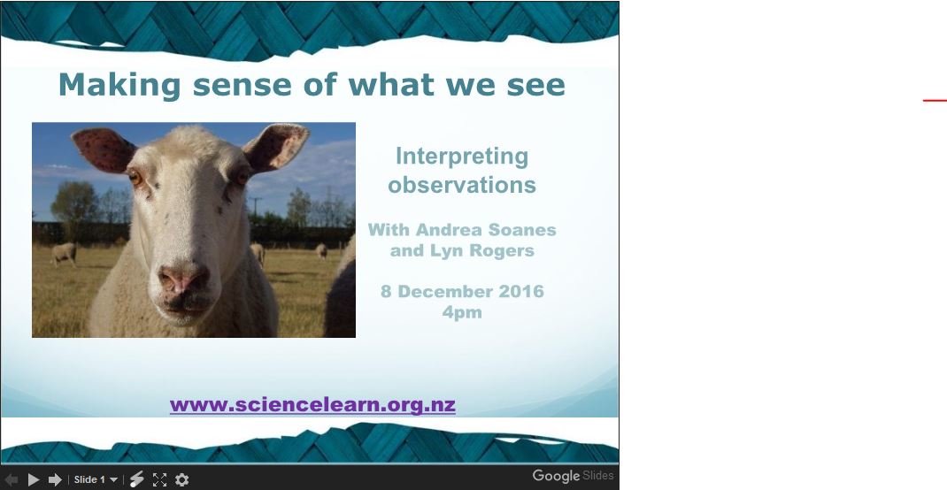 Making sense of what we see – slideshow — Science Learning Hub