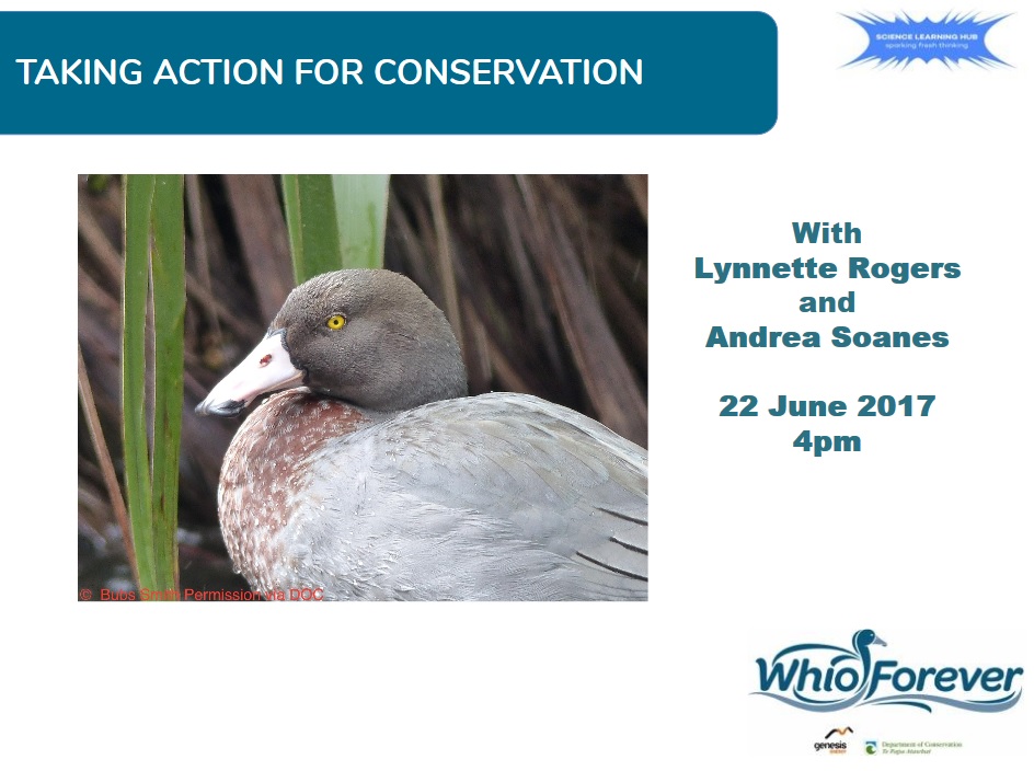 Taking action for conservation – slideshow — Science Learning Hub