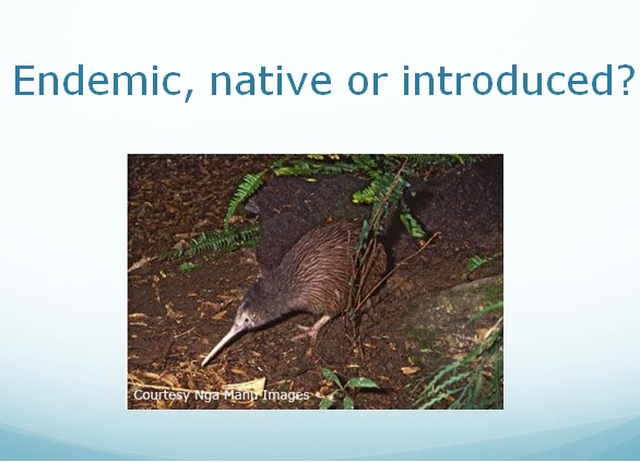 Endemic, native or introduced? – slideshow — Science Learning Hub