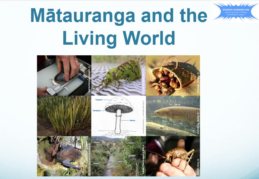 Mātauranga and the Living World – slideshow — Science Learning Hub