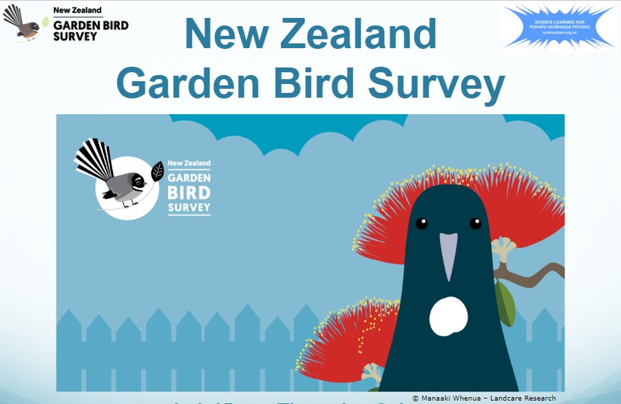 Te Tatauranga o ngā Manu Māra o Aotearoa – The New Zealand Garden Bird ...
