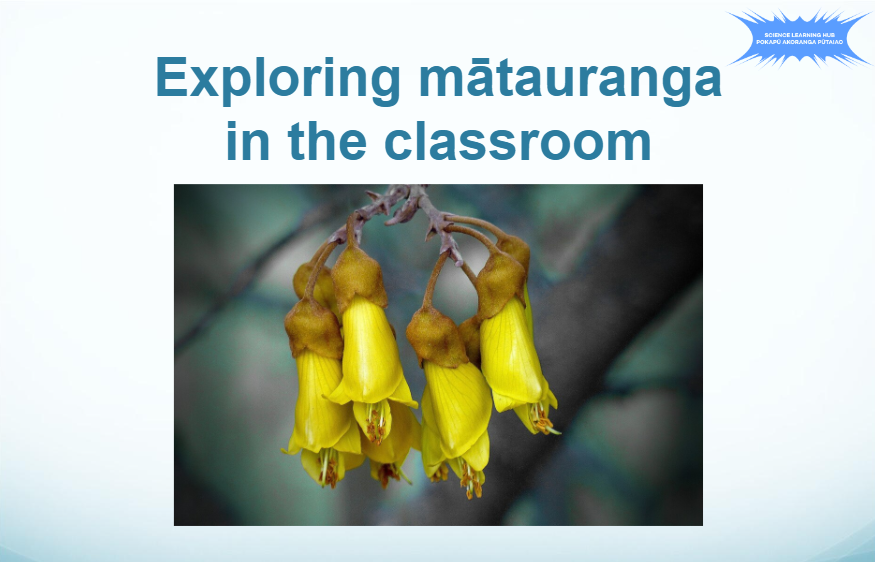 Exploring mātauranga in the classroom – Slideshow — Science Learning Hub