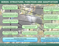 Highly specialised birds have unique adaptations that restrict them to ...