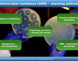 Background – microorganisms — Science Learning Hub
