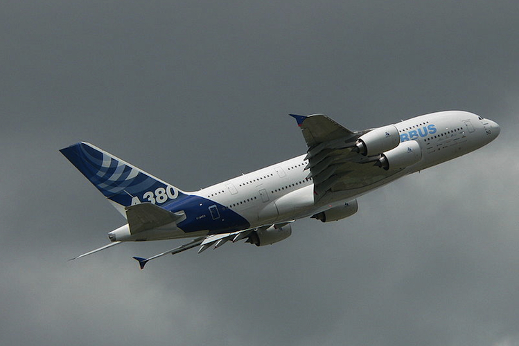 High wing load — Science Learning Hub