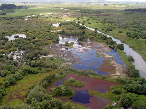 Wetlands – the river’s kidneys — Science Learning Hub