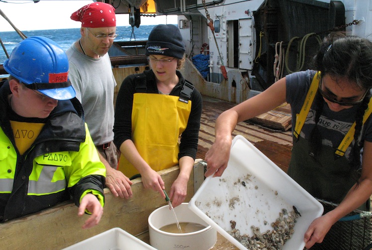 Exploring for cold-seep sites — Science Learning Hub