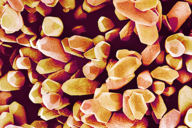 Carbonates in and on the ear — Science Learning Hub