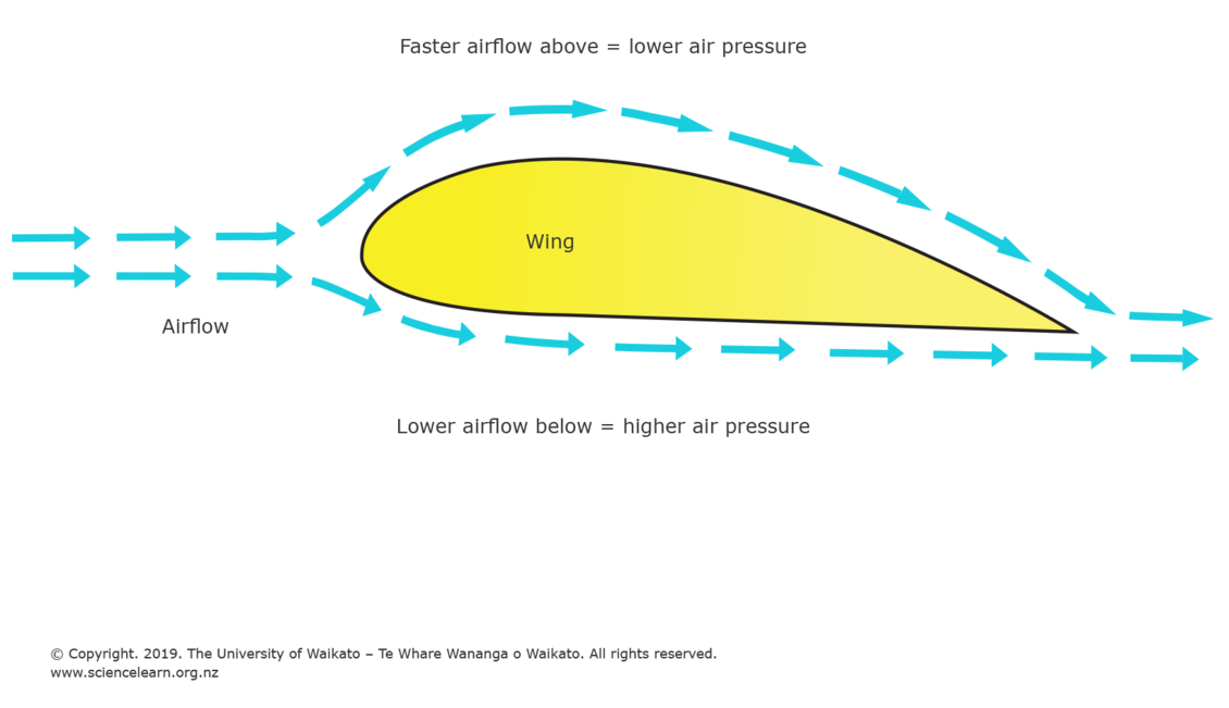 Bernoulli's Principle For Kids Bernoulli's Principle For Kids