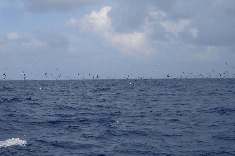 Locating land — Science Learning Hub