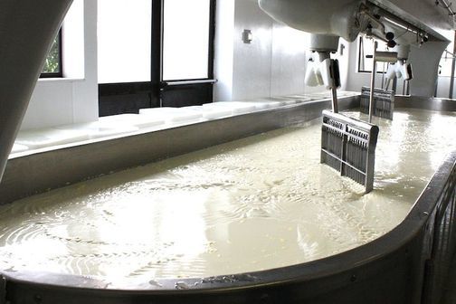 Cheese processing vat — Science Learning Hub