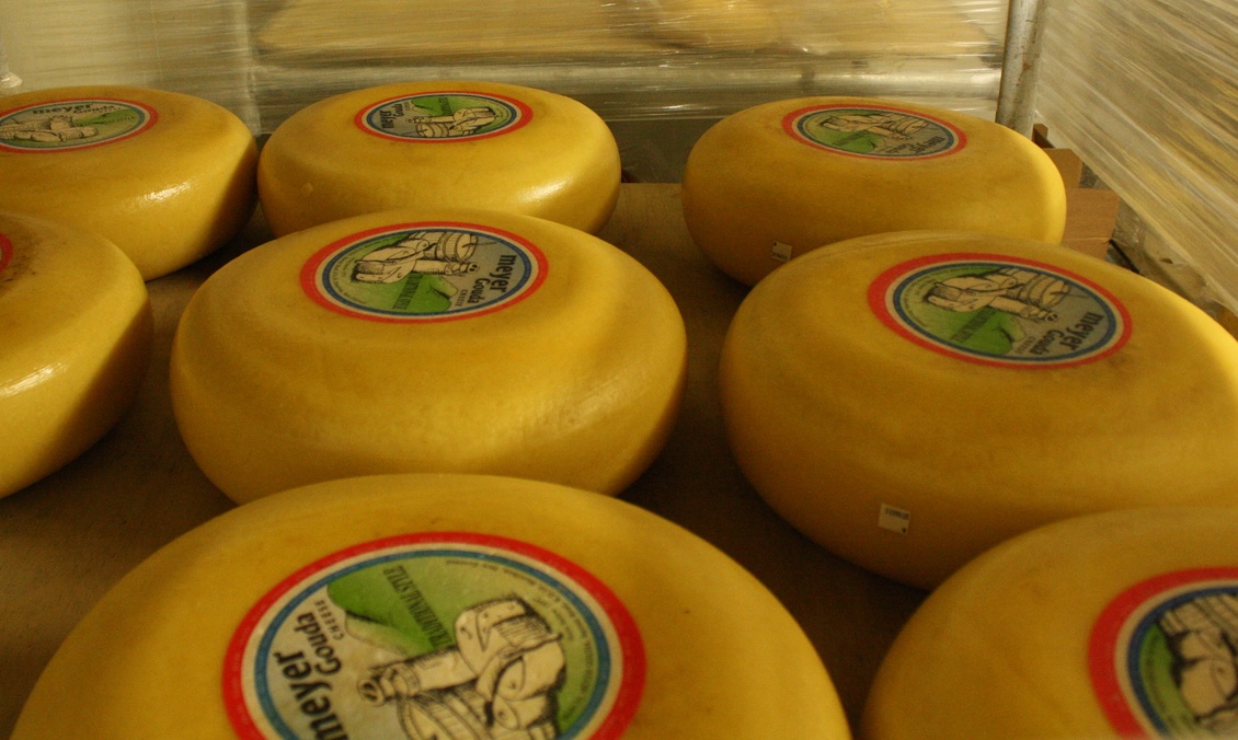 Cheese — Science Learning Hub