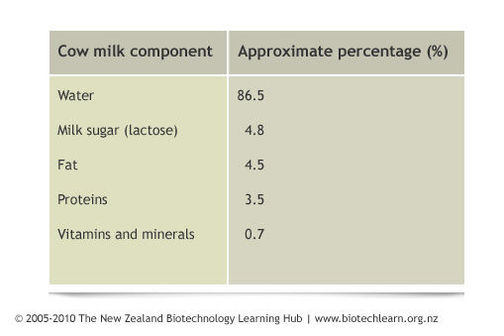 Transgenic cows making modified milk — Science Learning Hub