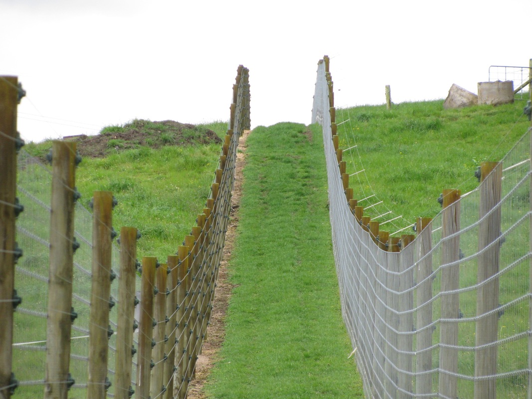 Secure fencing — Science Learning Hub