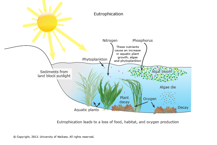 Eutrophication Science Learning Hub