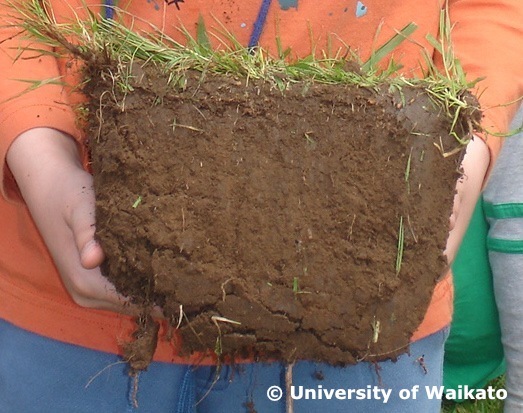 Soil cube — Science Learning Hub