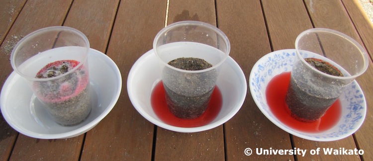 Water and nutrient leaching — Science Learning Hub