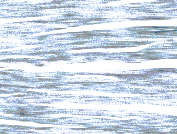 Muscle types — Science Learning Hub