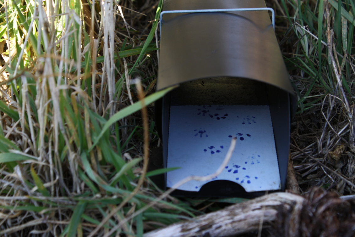 Tracking tunnel — Science Learning Hub