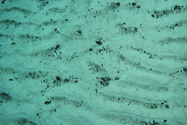 Ripple effect — Science Learning Hub