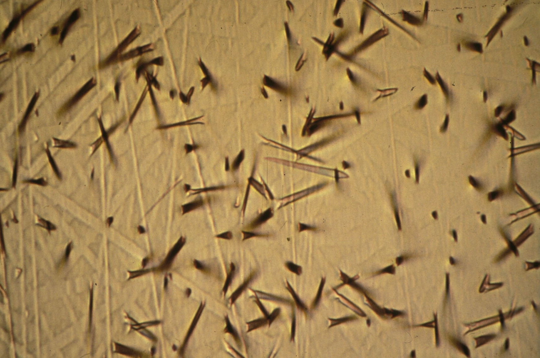 Fission track and luminescence dating — Science Learning Hub