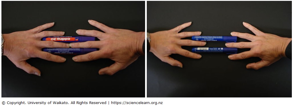 Muscle contraction — Science Learning Hub