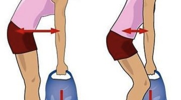 Pivot diagram of a Class 2 lever — Science Learning Hub