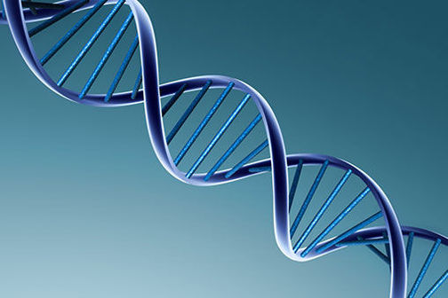 DNA and biotechnology — Science Learning Hub