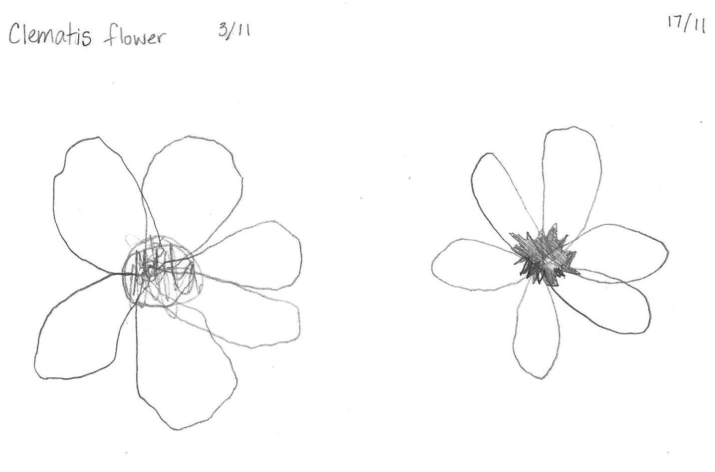 Developing observation skills in younger students — Science Learning Hub