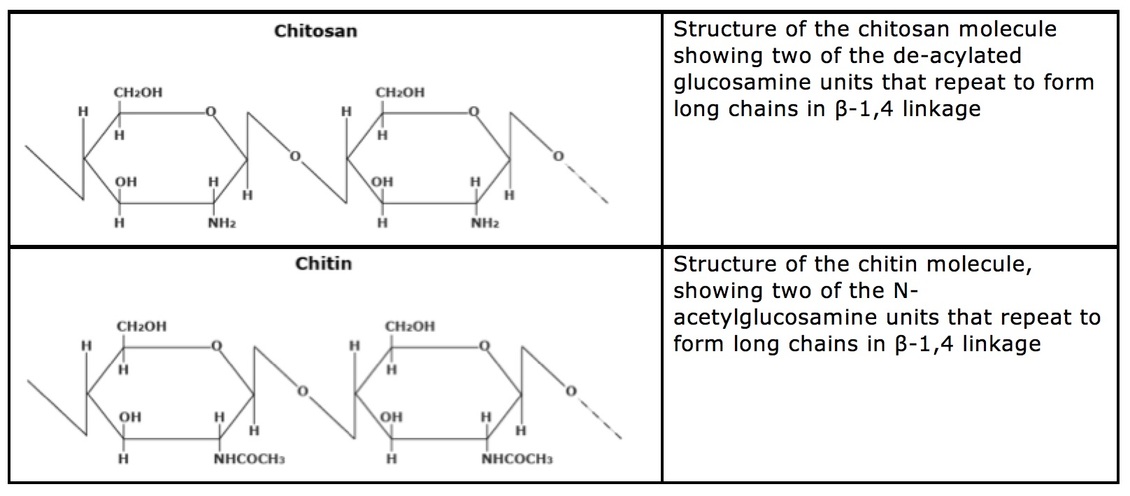 Chitin Diagram