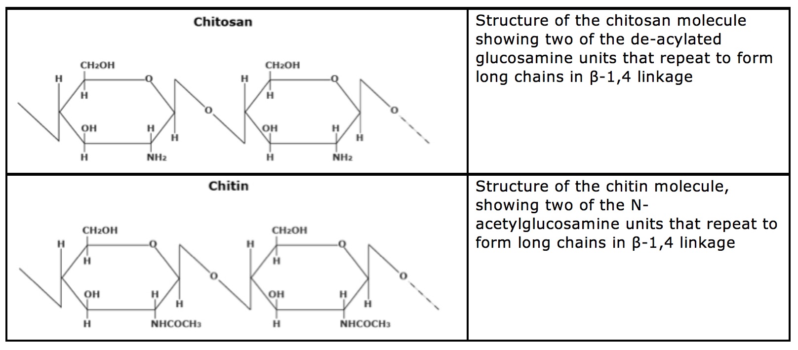 Chitosan Structure