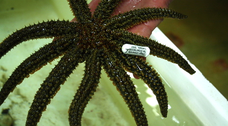 Welcome! — Science Learning Hub