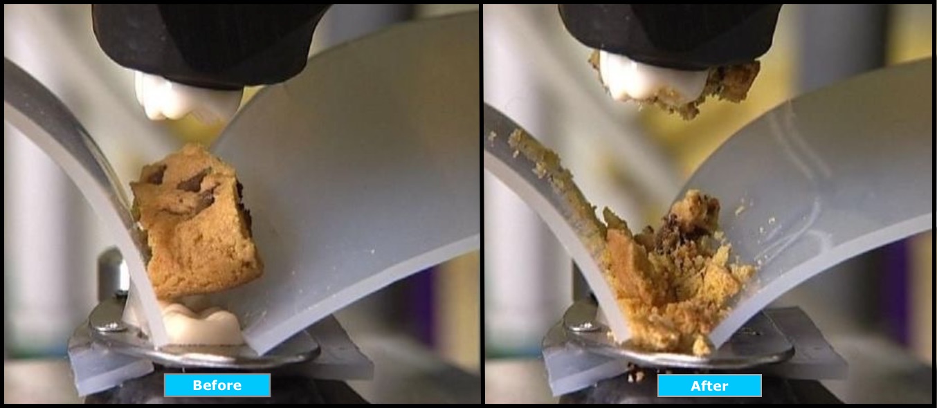 Chewing Food And Digestion