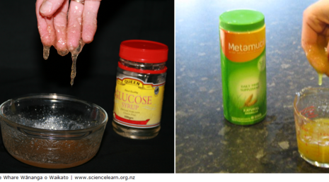 Welcome! — Science Learning Hub