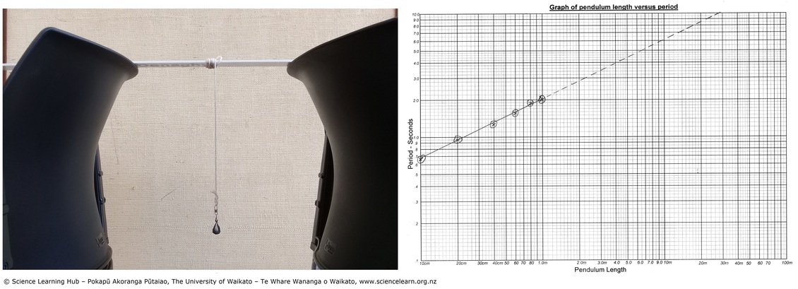 Pendulums and data collection — Science Learning Hub