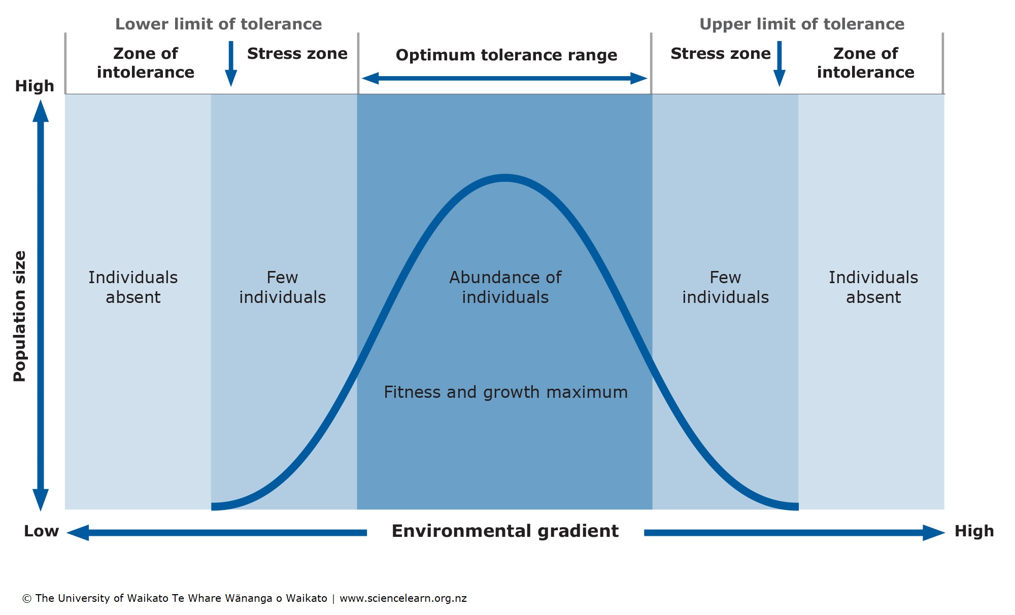 Salamander For Limiting Factor Graph
