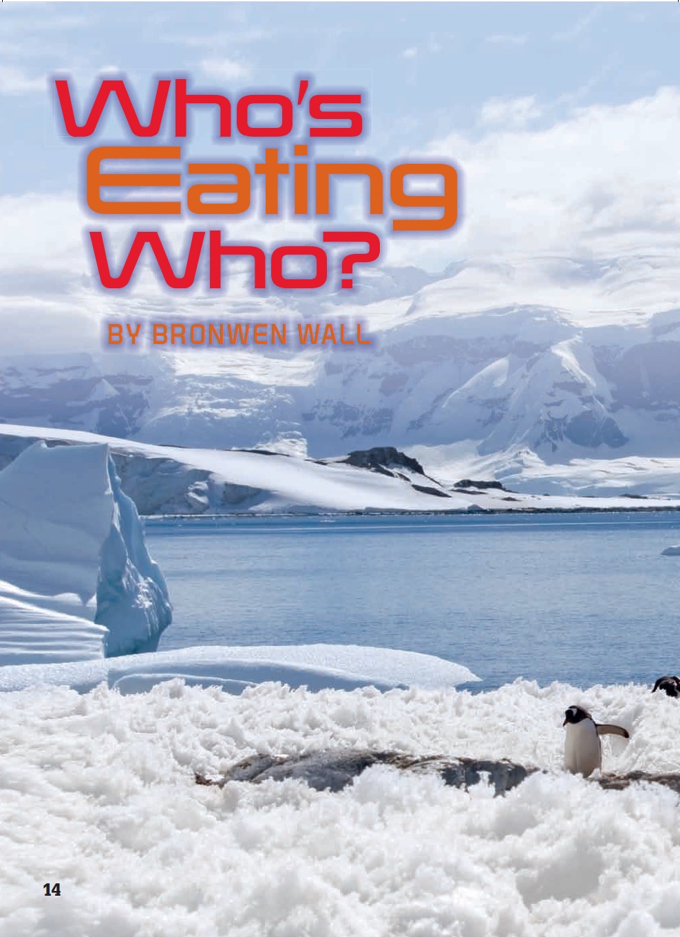 Who’s eating who? — Science Learning Hub