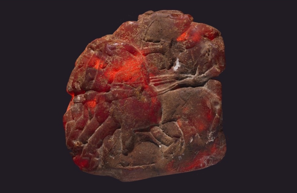 Amber pendant — Science Learning Hub