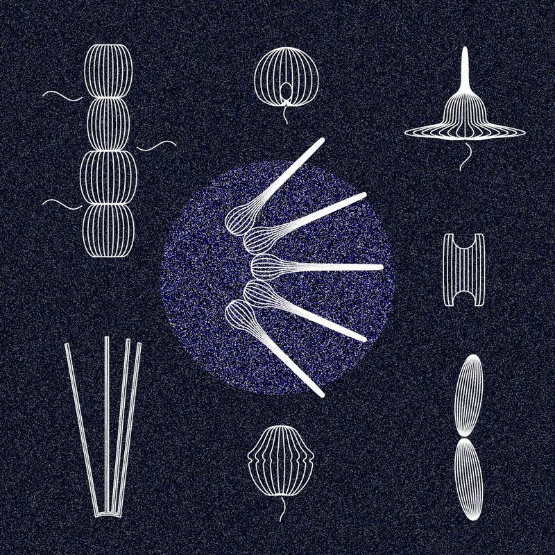 Marine microbes — Science Learning Hub