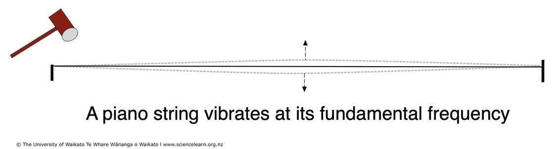 Fundamental frequency — Science Learning Hub