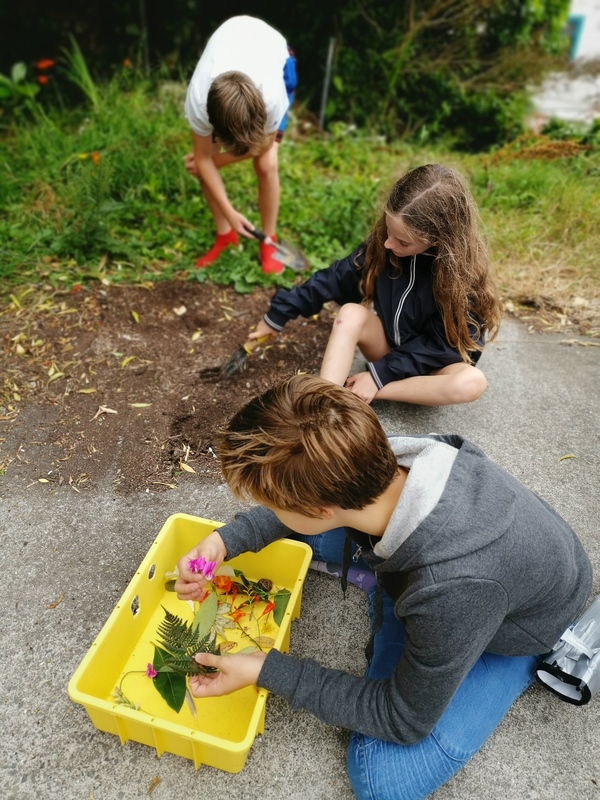 Getting into nature — Science Learning Hub