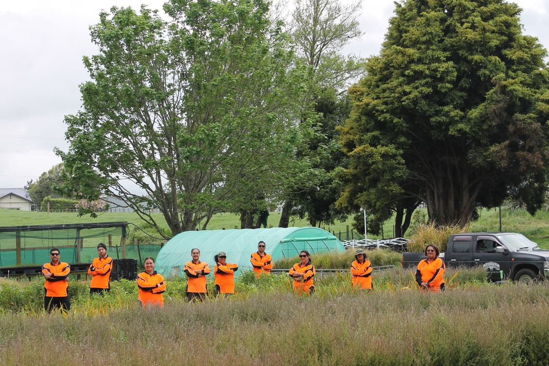Kaimahi at the nursery — Science Learning Hub
