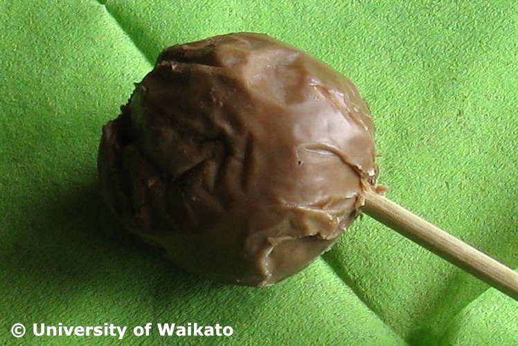 Models of the Earth — Science Learning Hub