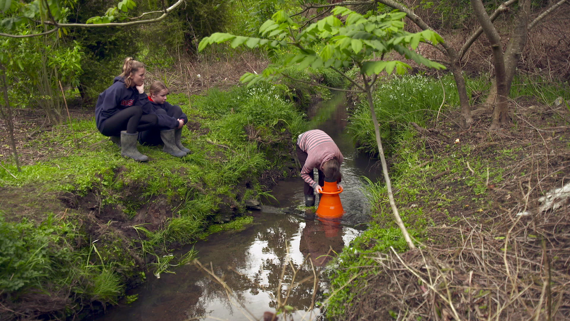 Students monitoring a local waterway — Science Learning Hub