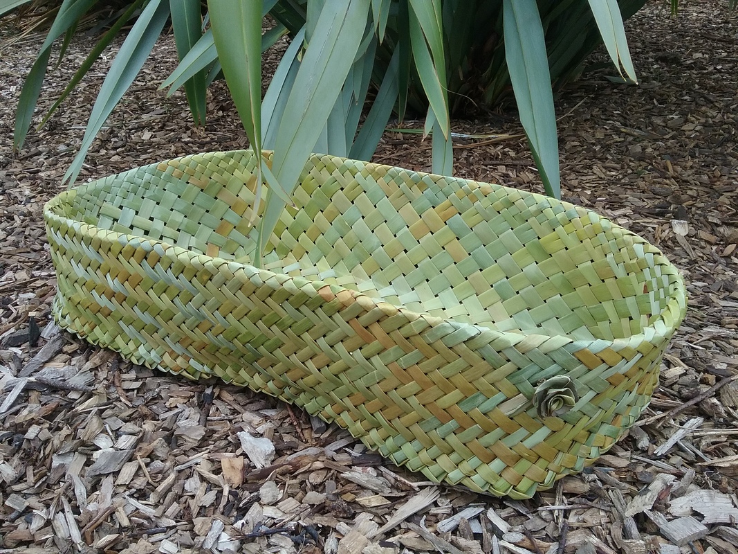 He wahakura harakeke — Science Learning Hub