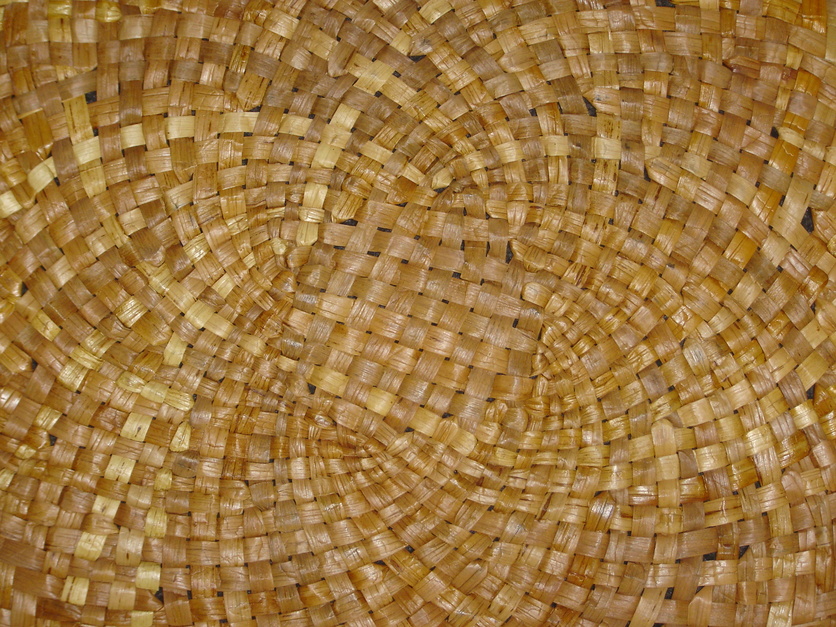 Cultural indicators for repo — Science Learning Hub