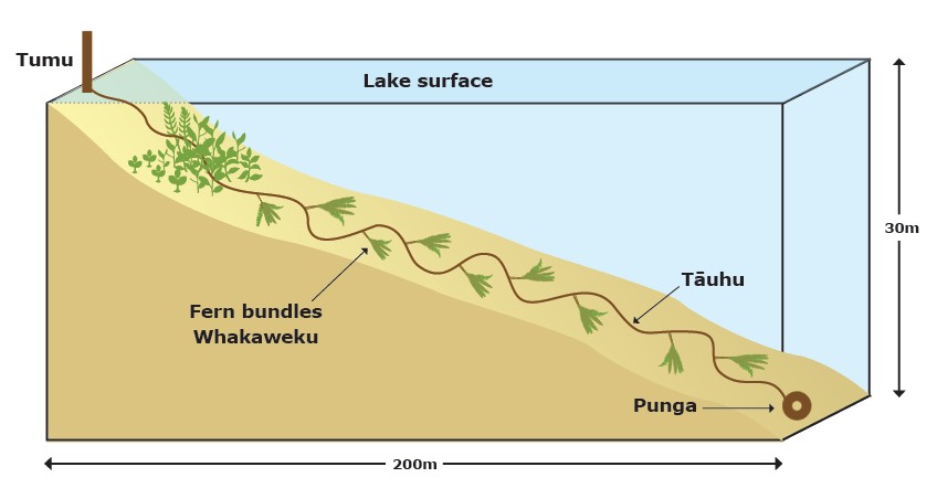 Monitoring kōura — Science Learning Hub