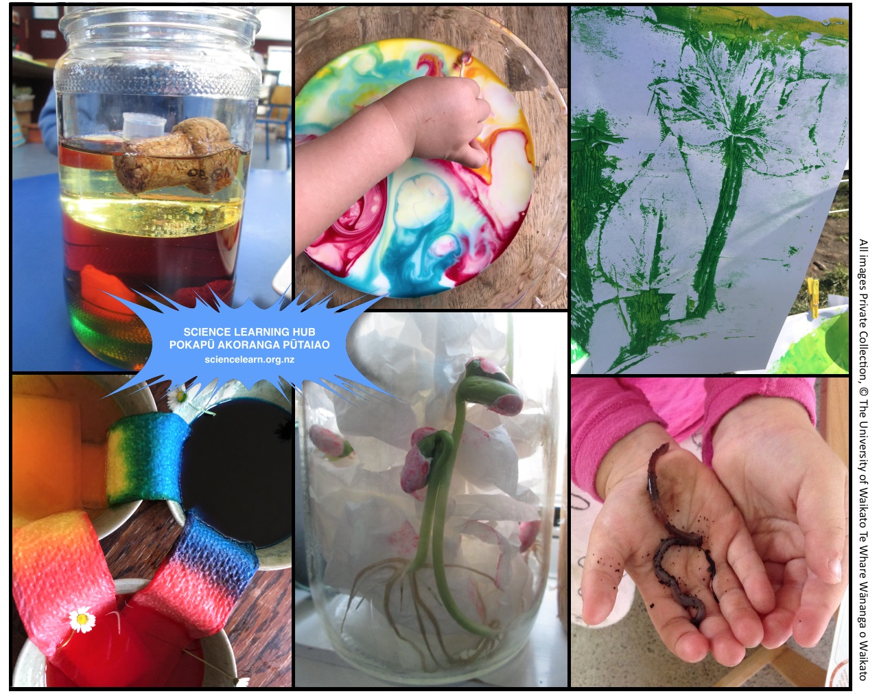 SLH: Exploring science in the early years — Science Learning Hub